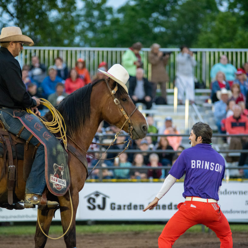 Alvinston Pro Rodeo – Locally Lambton